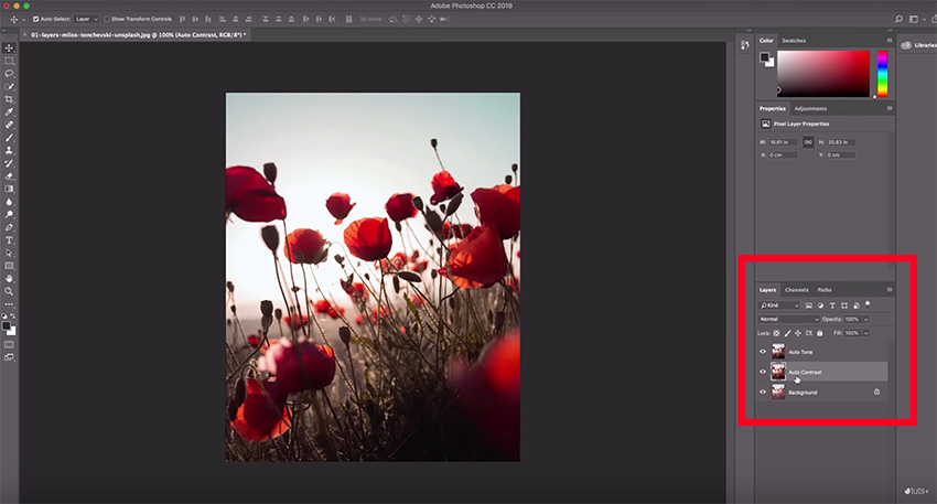 Adobe Photoshop for Beginners | Communication, Art, Design & Instruction